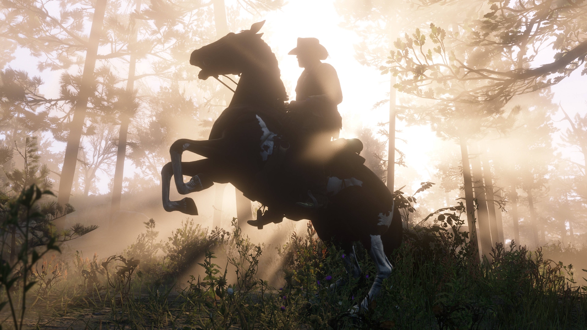 Red Dead Redemption 2 / Screens - Rockstar Games