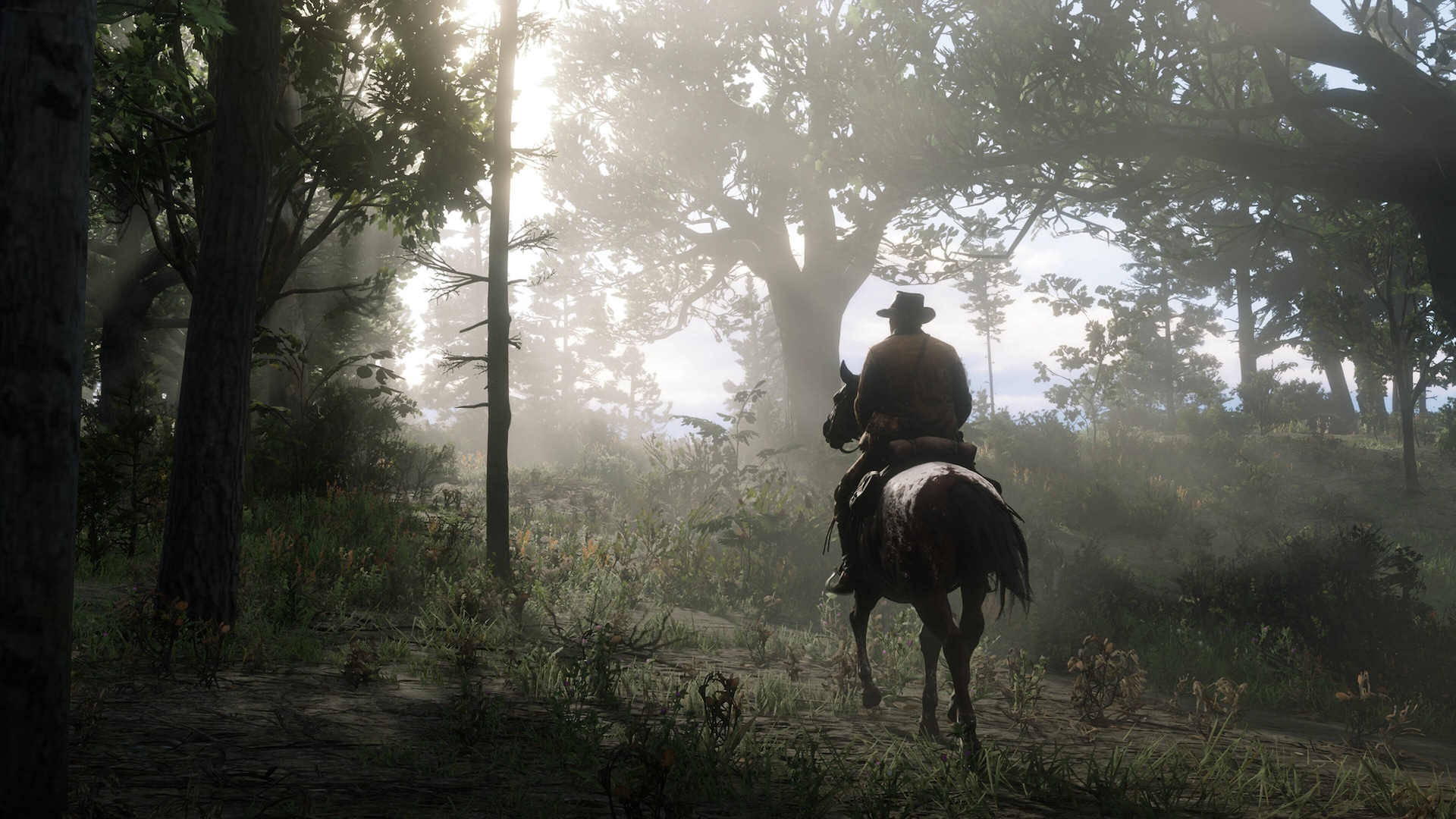 Red Dead Redemption 2 / Screens - Rockstar Games