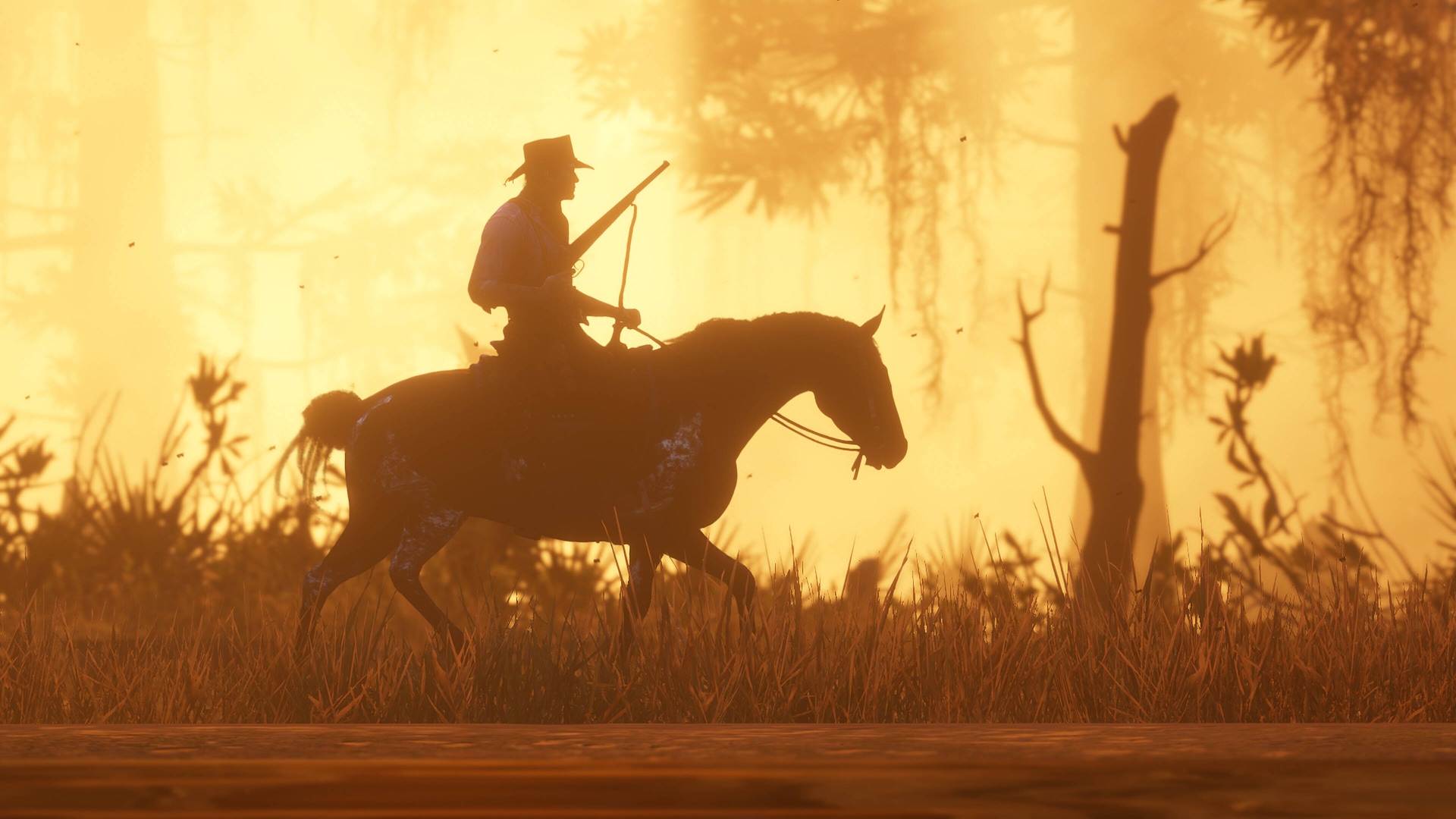 Red Dead Redemption 2 / Screens - Rockstar Games