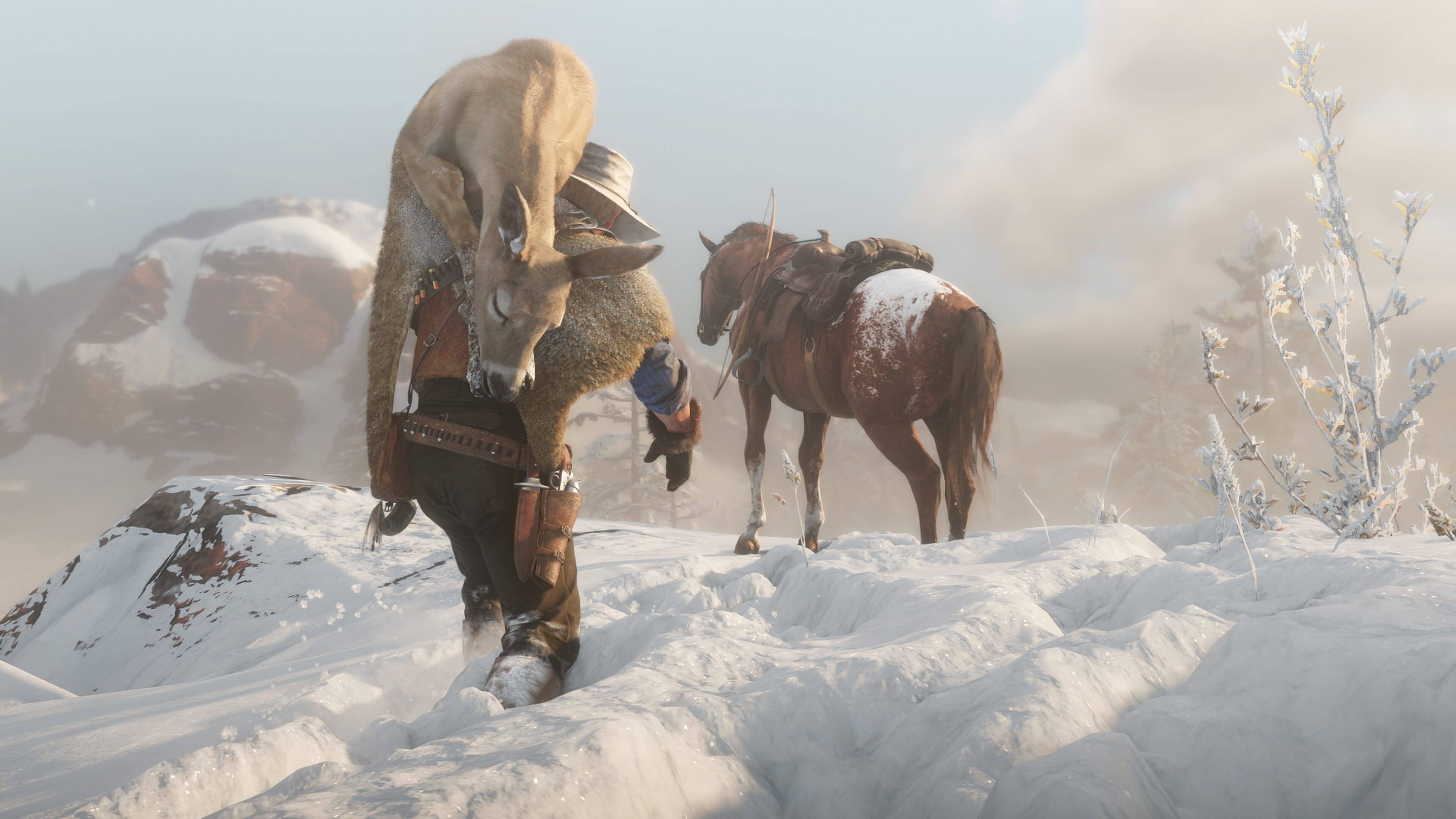 Wildlife / Red Dead Redemption 2 - Rockstar Games
